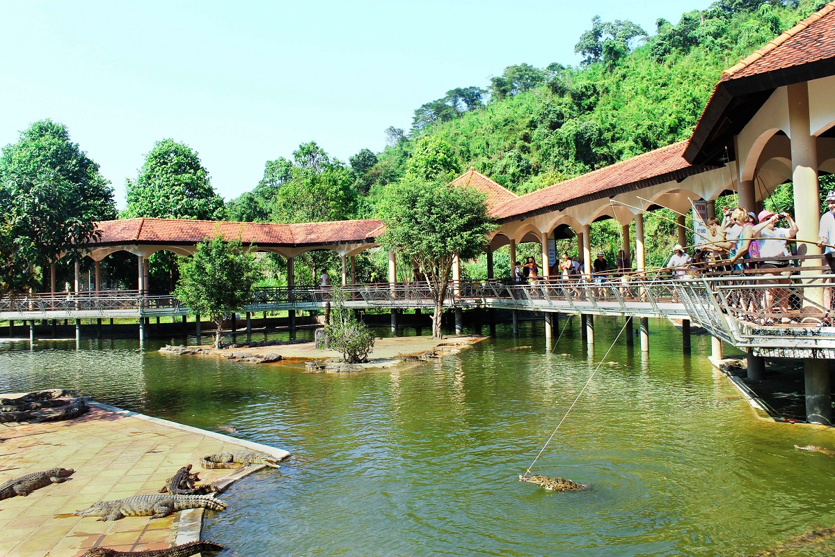 Lên núi câu cá sấu